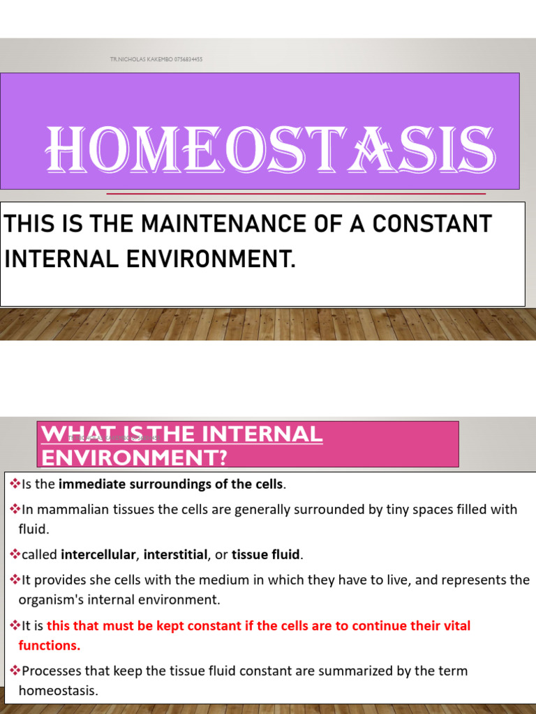 Homeostasis Alevel Presentation - PDF (TR - Nicho) - 4 | PDF ...