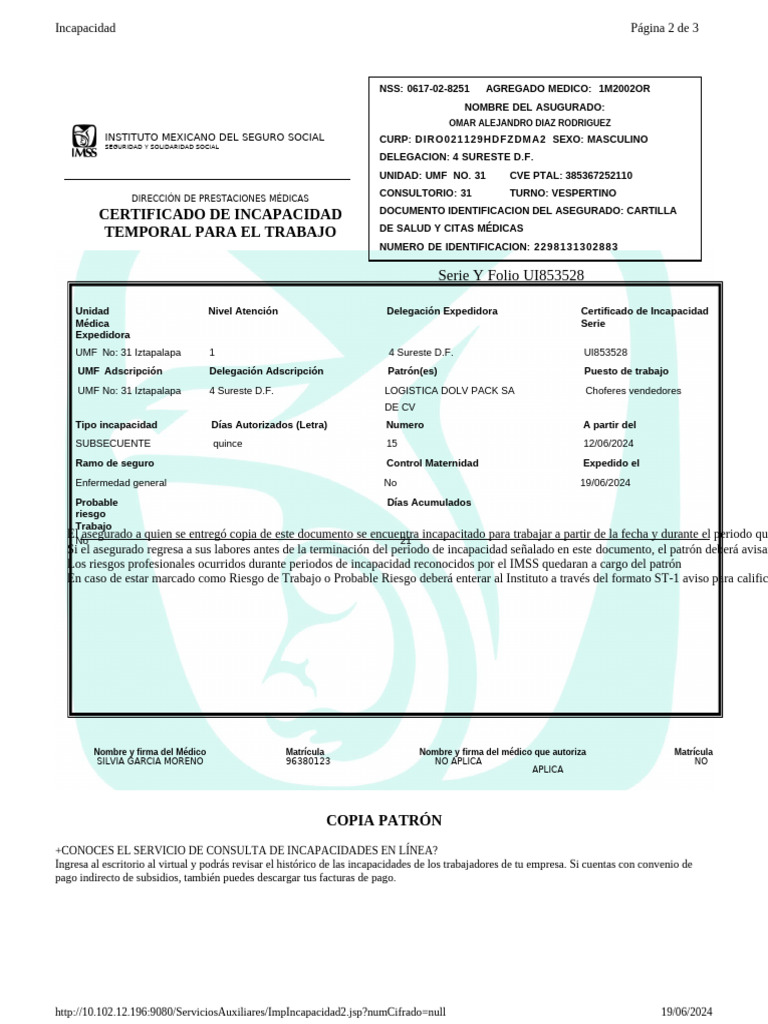 Formato Incapacidad Imss Editable Word | PDF