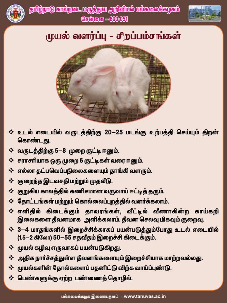 Rabbit Farming 3x4 Final New | PDF