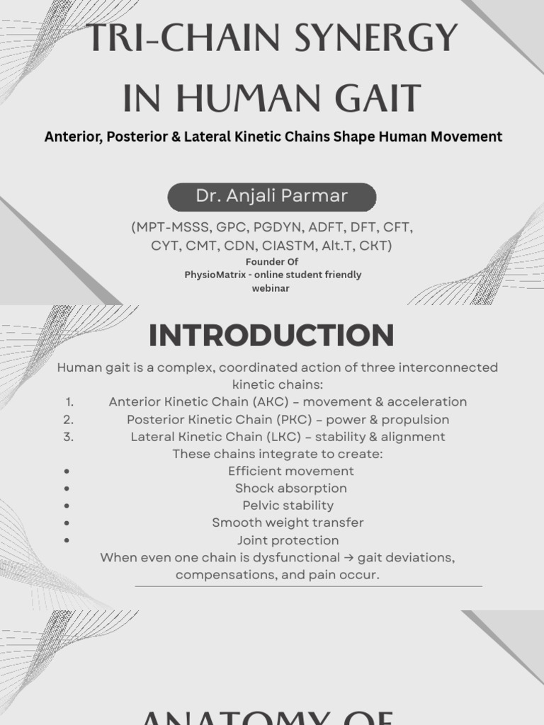 Tri-Chain Synergy in Human Gait | PDF | Pelvis | Foot