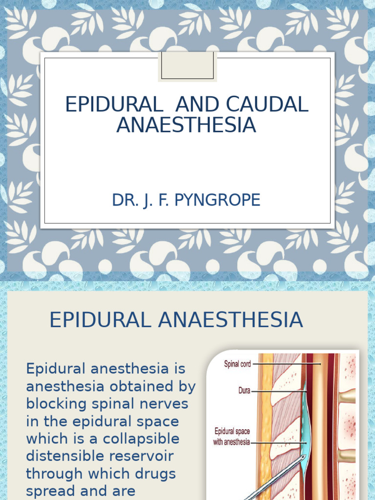 Epidural, Cse and Caudal Anaesthesia | PDF | Vertebra | Anesthesia