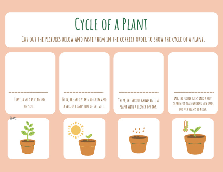 Cycle of Plant Cut and Paste Activity | PDF
