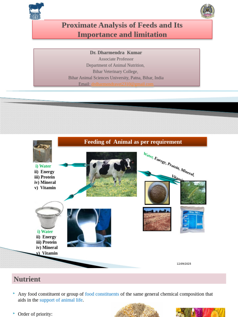 Proximate Analysis of Animal Feeds | PDF