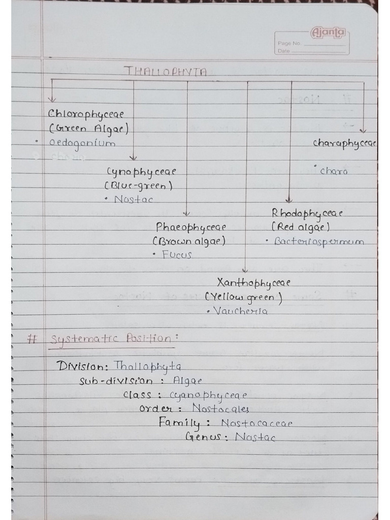 Botany Notes | PDF