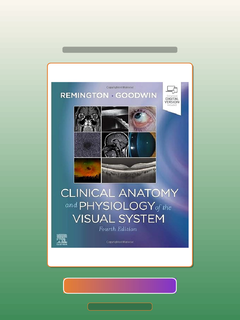 Clinical Anatomy and Physiology of The Visual System 4th Edition ...
