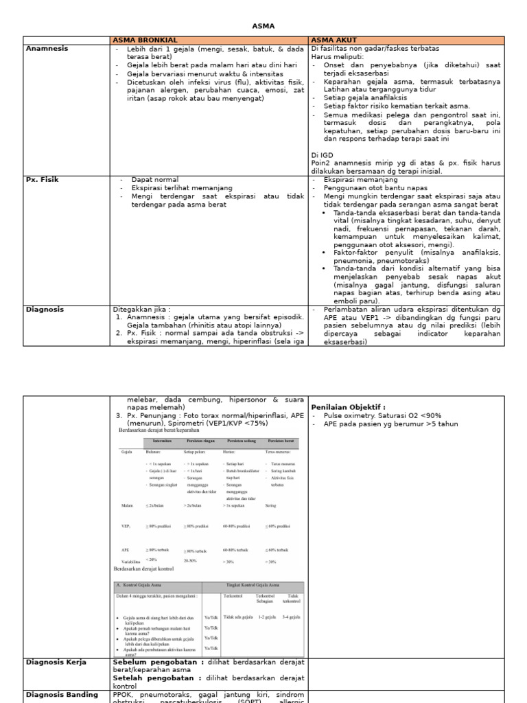Pemeriksaan Asma | PDF