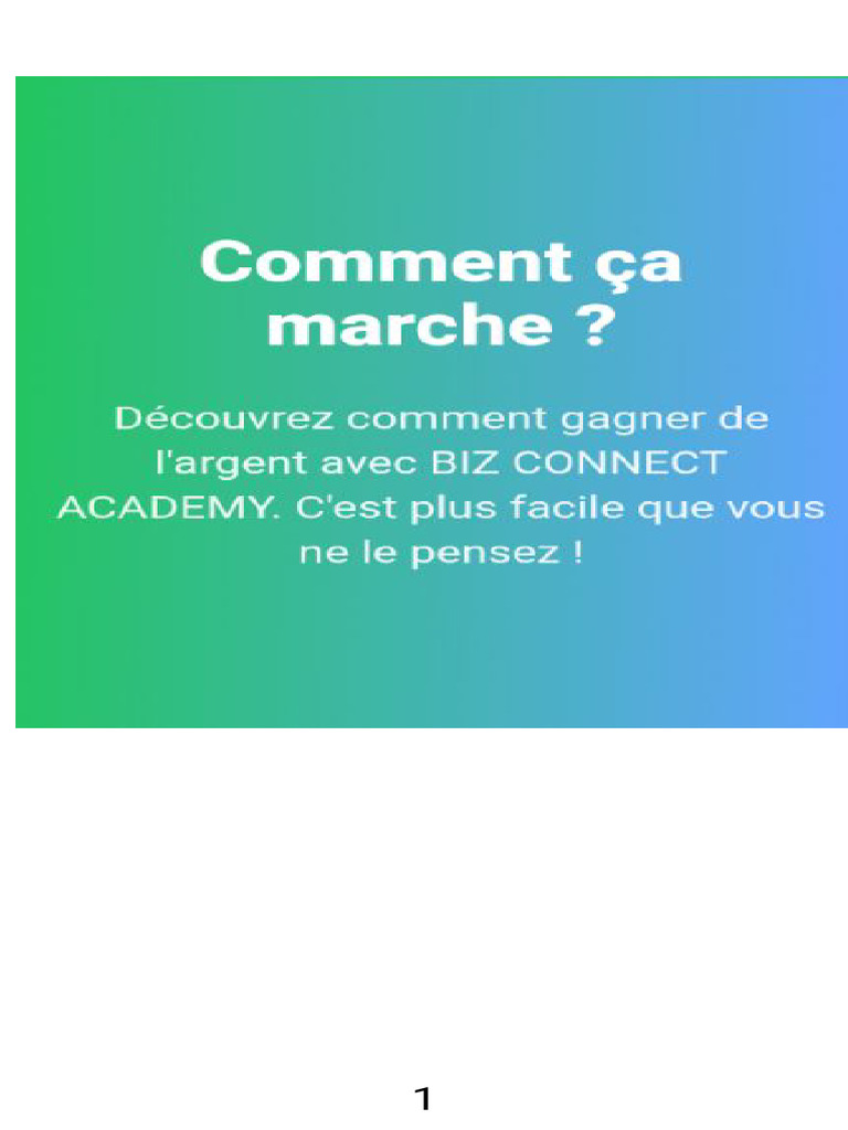 biz connect academy (1) | PDF