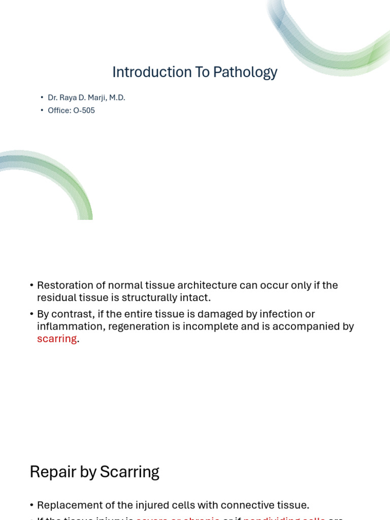 Lecture 13 - Tissue Repair 2 | PDF | Wound Healing | Angiogenesis