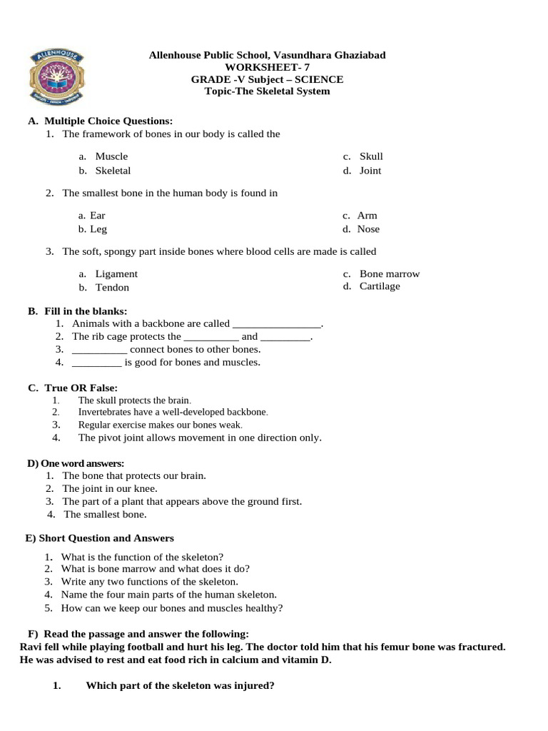 Worksheet Skeletal System | PDF