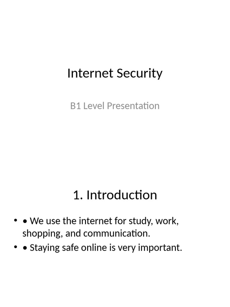 Internet Security Presentation | PDF