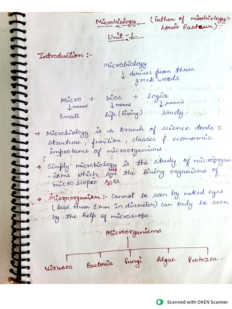 Microbiology Notes 241012 210142 | PDF