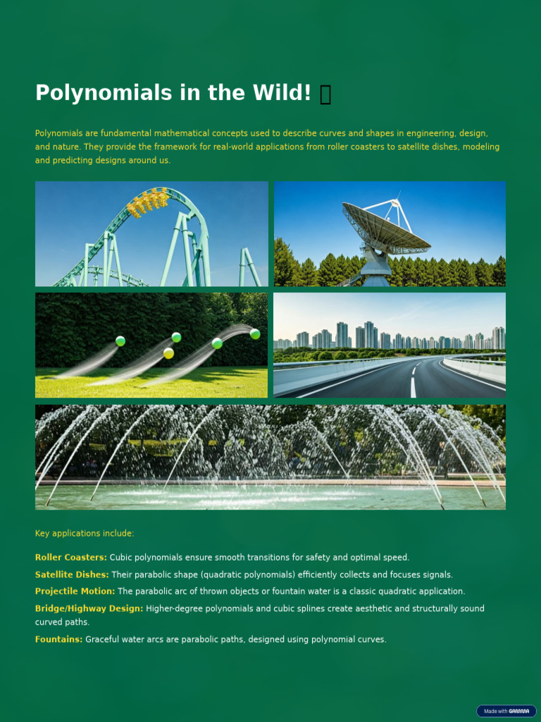 Real-World Applications of Polynomials | PDF