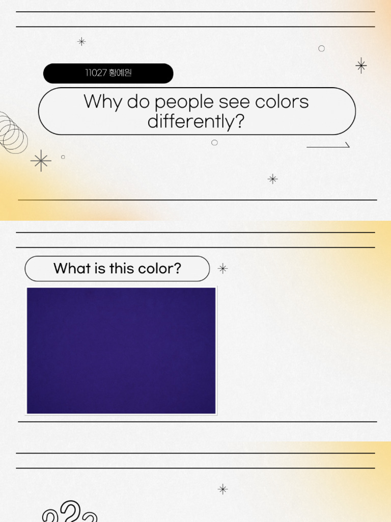 Why Do People See Colors Differently | PDF