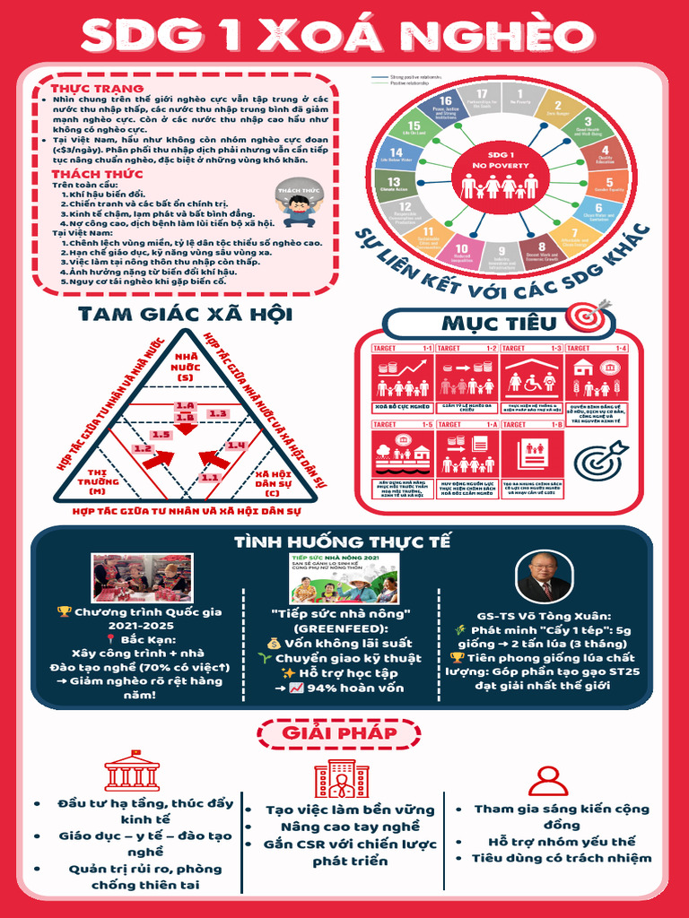 Poster SDG 1 | PDF