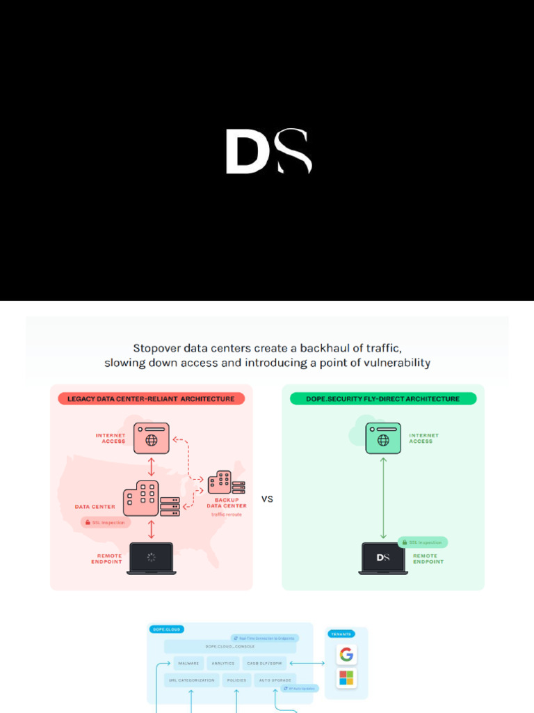 DOPE Security | PDF