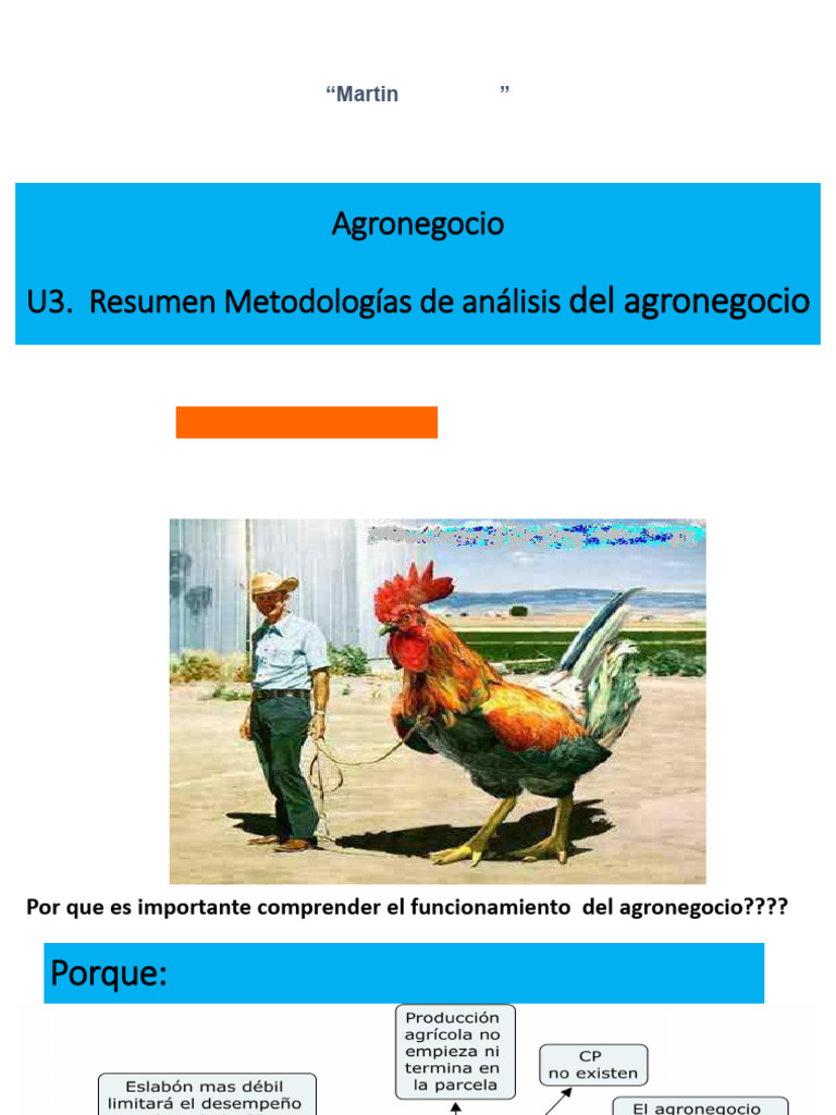 Resumen Metodologias de analisis de Cadenas Productivas 29092025 | PDF | Agronegocios | Agricultura