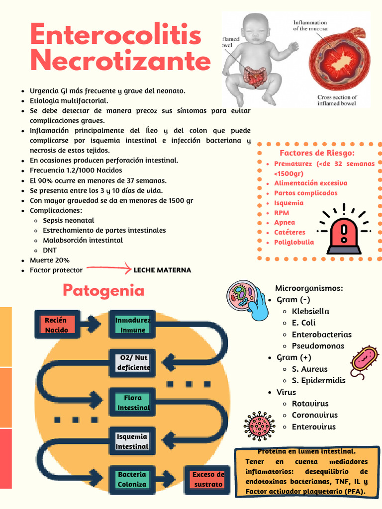 Enterocolitis Necrotizante | PDF | Inmunología | Gastroenterología