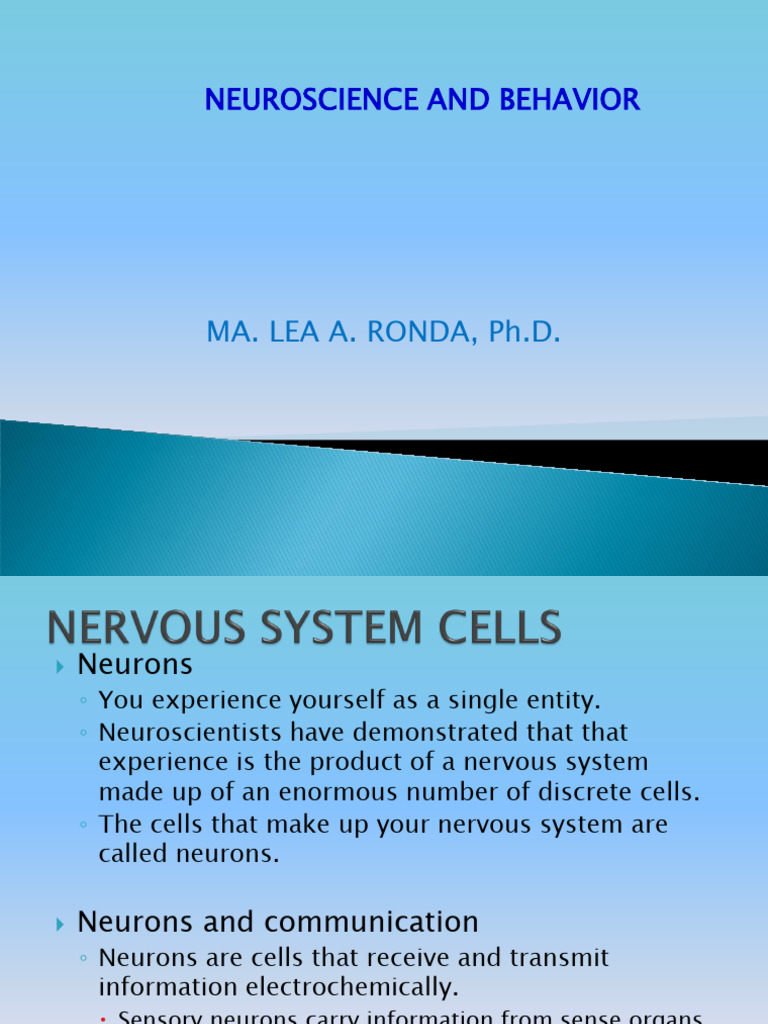 03-Neuroscience-Behavior-endocrine-system | PDF | Synapse | Neuron