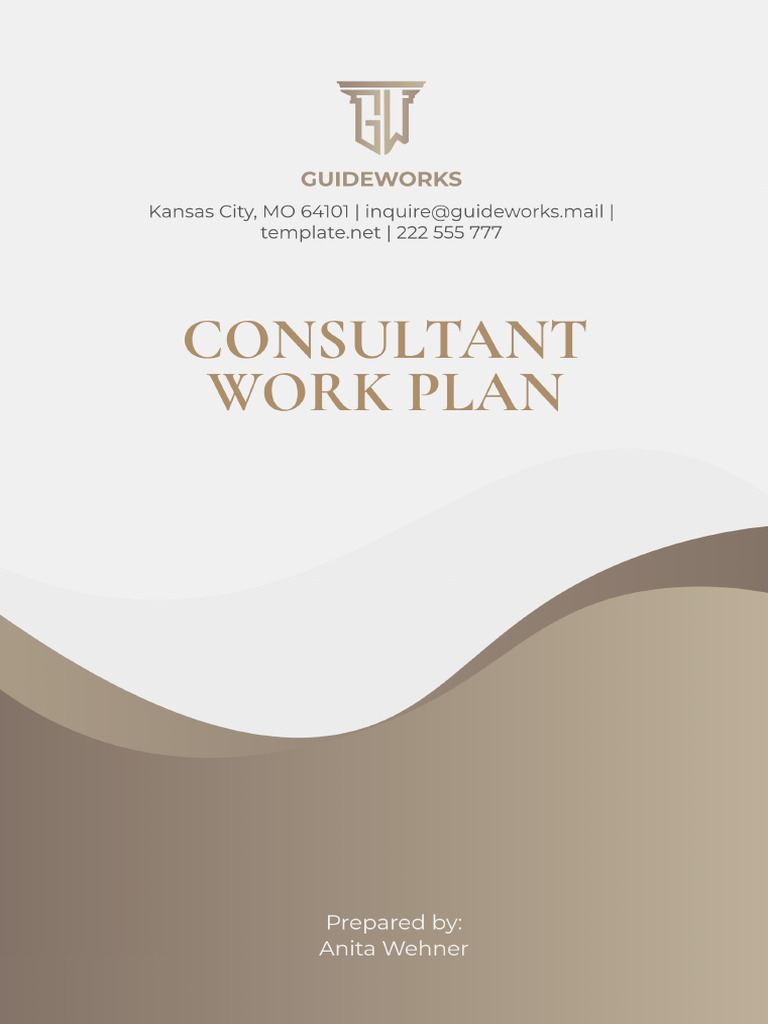 Consultant Work Plan Template | PDF