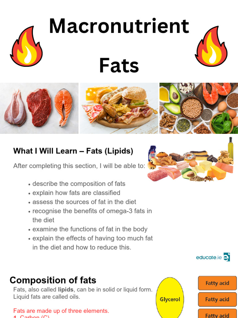 JC HE Macronutrient Fats | PDF | Fat | Saturated Fat
