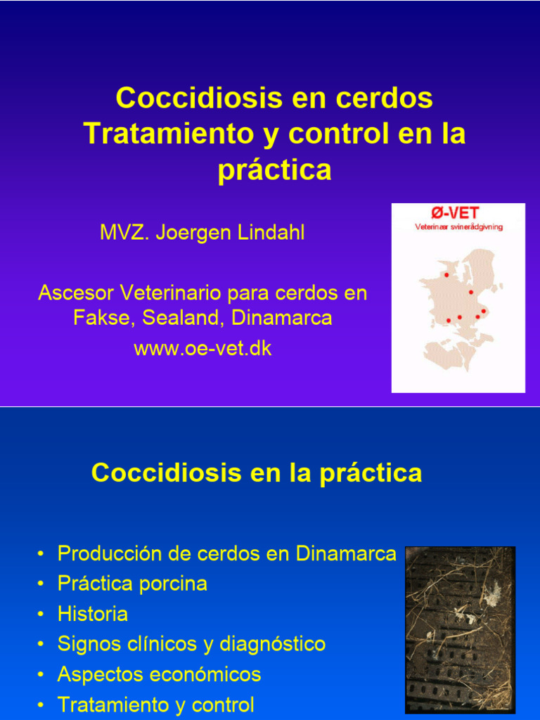 Coccidiosis Cerdos-Joergen Lindahl Castellano | PDF | Enfermedades ...