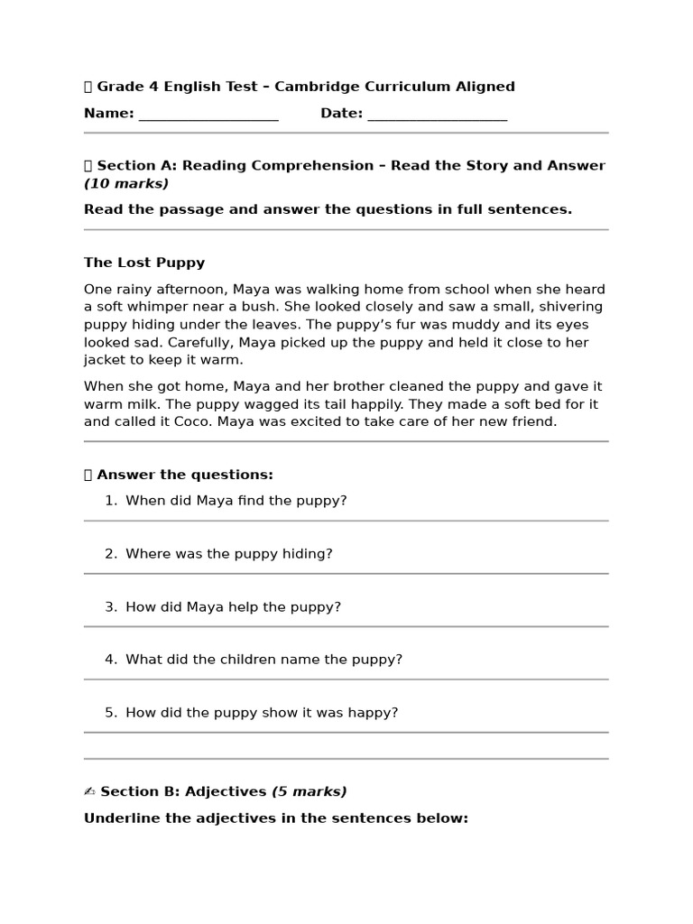 Grade 4 English Test | PDF