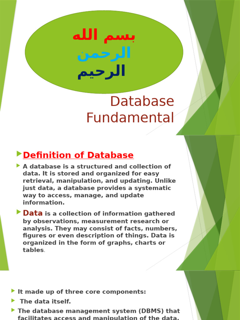 Understanding Database Fundamentals | PDF | Databases | Client–Server Model