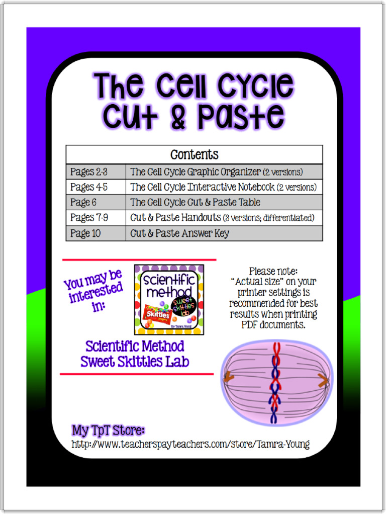 Cell Cycle Worksheet - Cut & Paste Activity | PDF