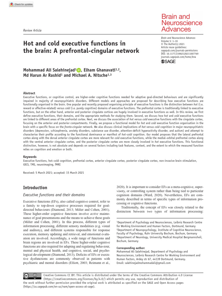 Salehinejad Et Al 2023 Hot and Cold Executive Functions in The Brain A ...