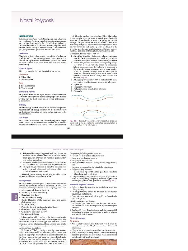 PolypsSGD 251204 185603 | PDF