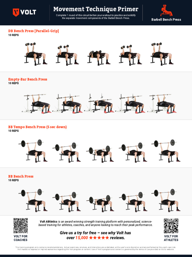 Bench Press Technique Primer | PDF