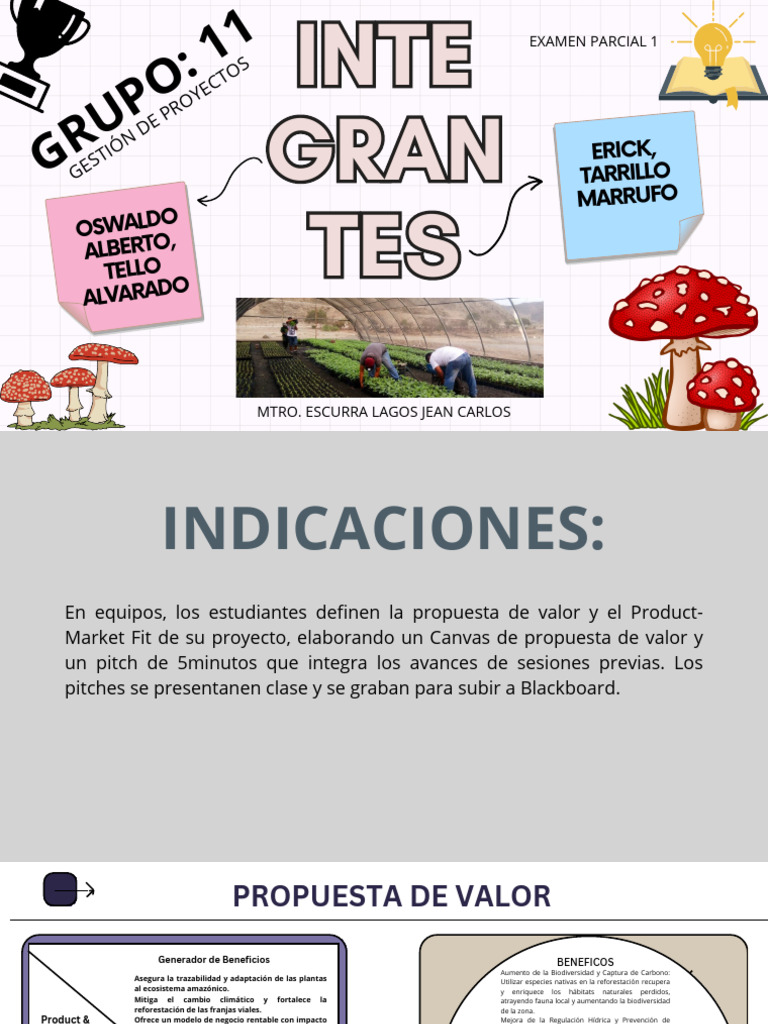 EXAMEN PARCIAL 1 | PDF | Responsabilidad social corporativa | Entorno natural