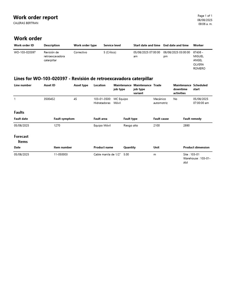 Work Order Report | PDF