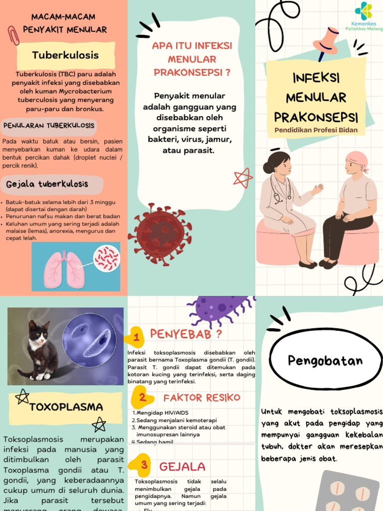 Leaflet IMS Dan Penyakit Menular | PDF