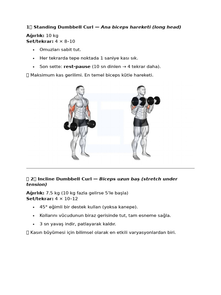 1 Standing Dumbbell Curl - Ağırlık: Set/tekrar:: Ana Biceps Hareketi ...