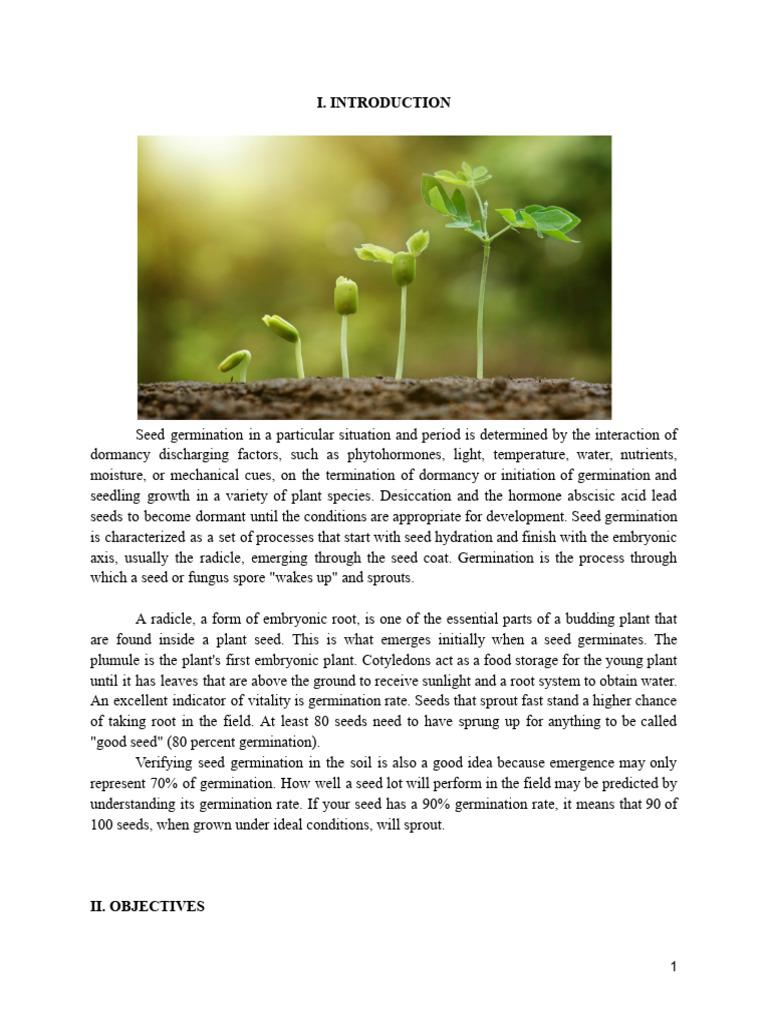 Physiology Lab Activity 4 Group 3 | PDF | Seed | Germination