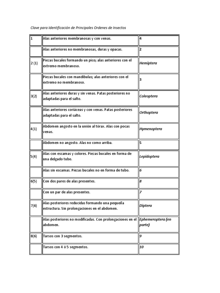 Clave para Identificación de Principales Ordenes de Insectos | PDF ...