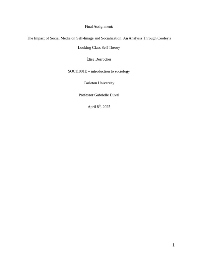 Final Assignment SOCI1001E | PDF | Socialization | Self Esteem