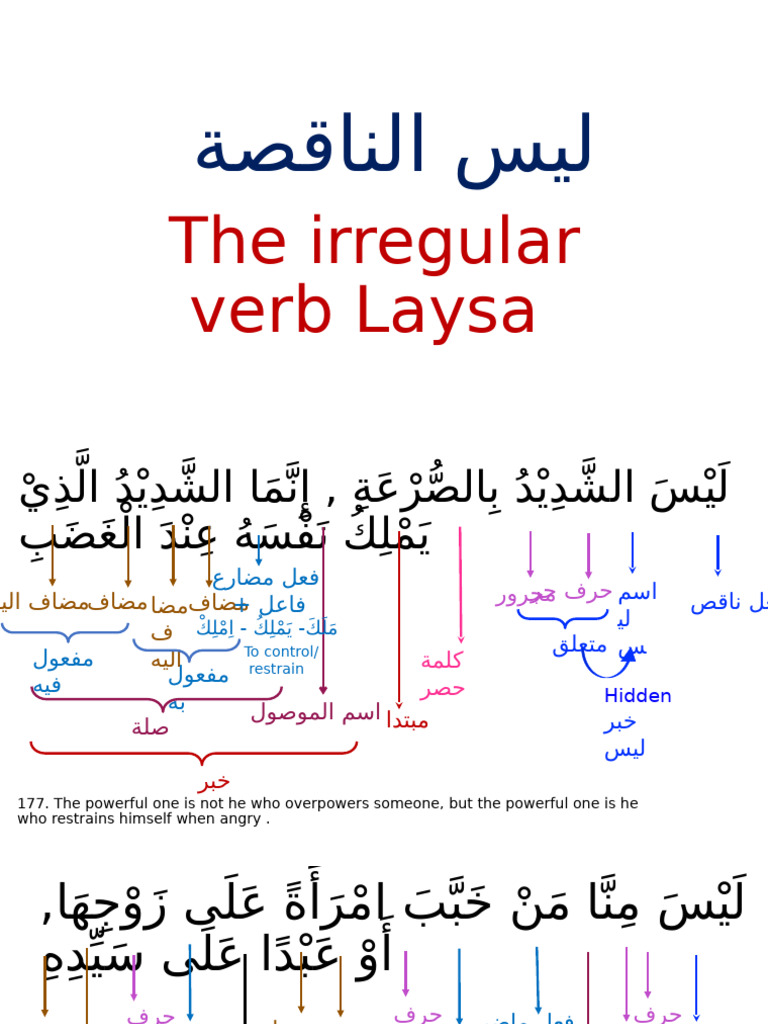 Zaad Tarkeeb Laysa | PDF