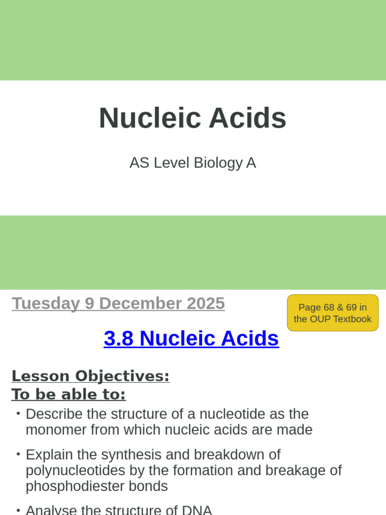 Understanding Nucleic Acids in Biology | PDF | Nucleic Acids | Nucleotides