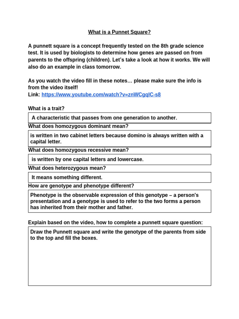 What is a Punnet Square? | PDF