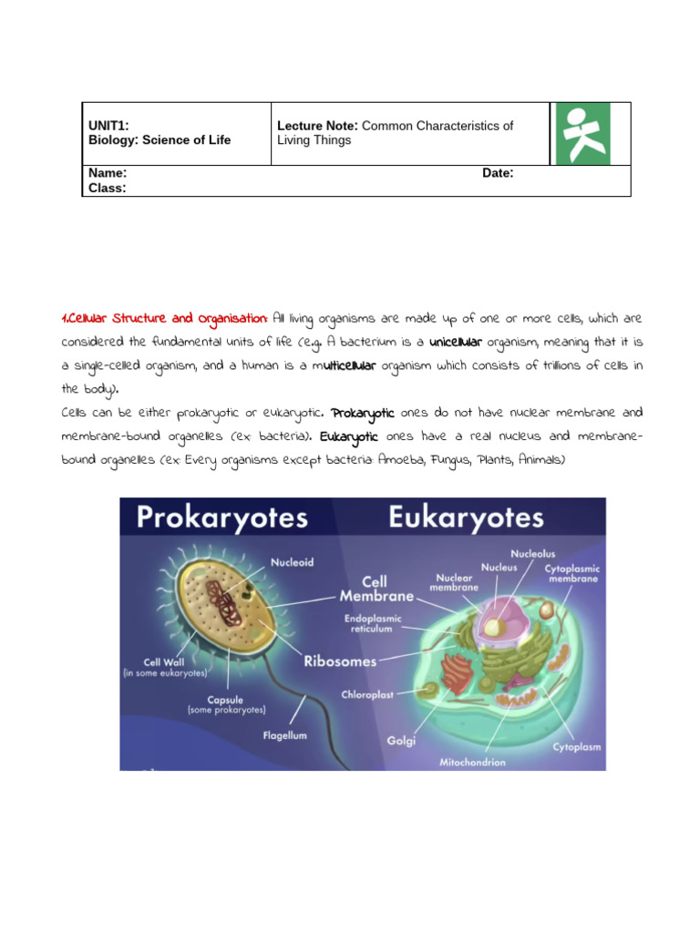 Characteristics of Living Organisms | PDF | Cellular Respiration | Cell ...