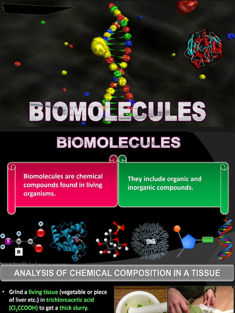 9 (11) - Biomolecules | PDF