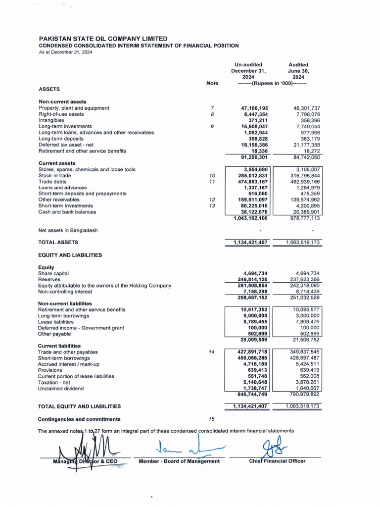 Consolidated Statements 2024 | PDF