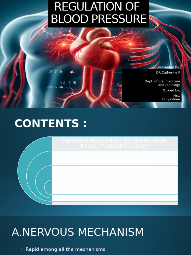 Blood Pressure Regulation Mechanisms | PDF | Vasodilation | Kidney
