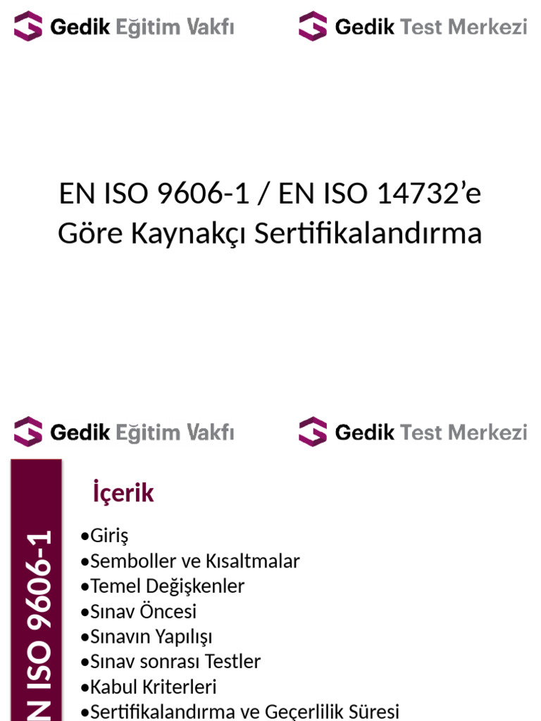 EN ISO 9606-1 | PDF