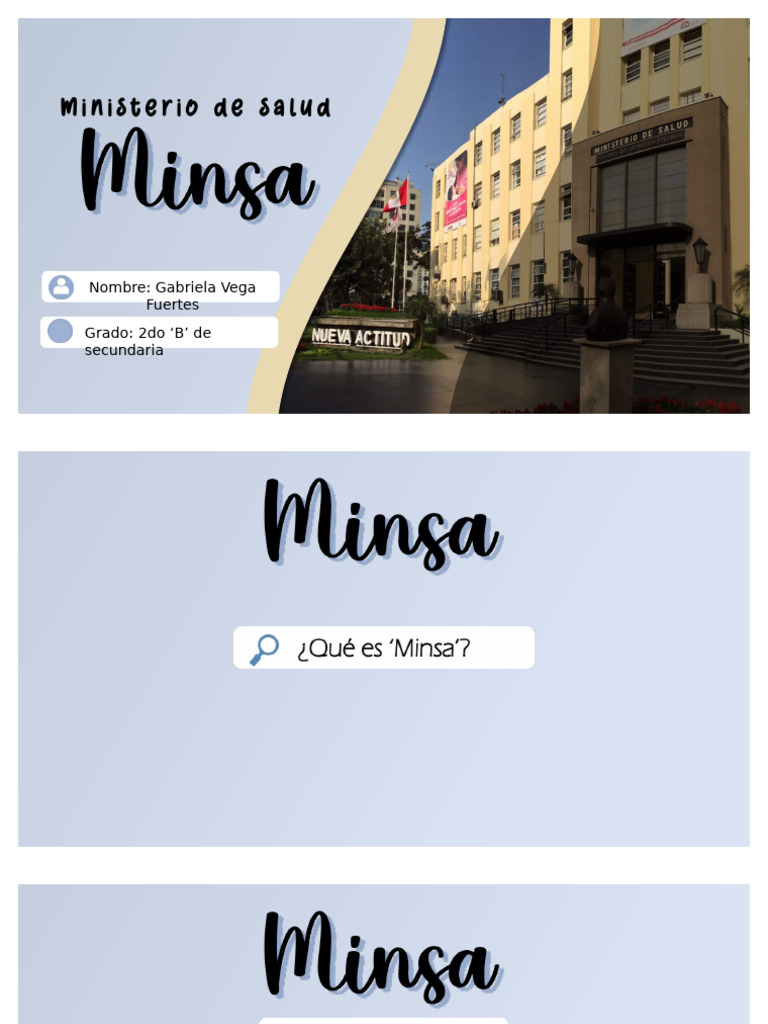 Minsa | PDF