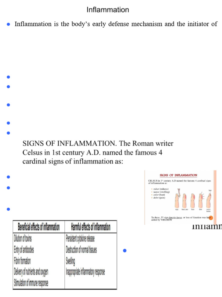 Understanding Inflammation: Causes & Effects | PDF | Inflammation ...