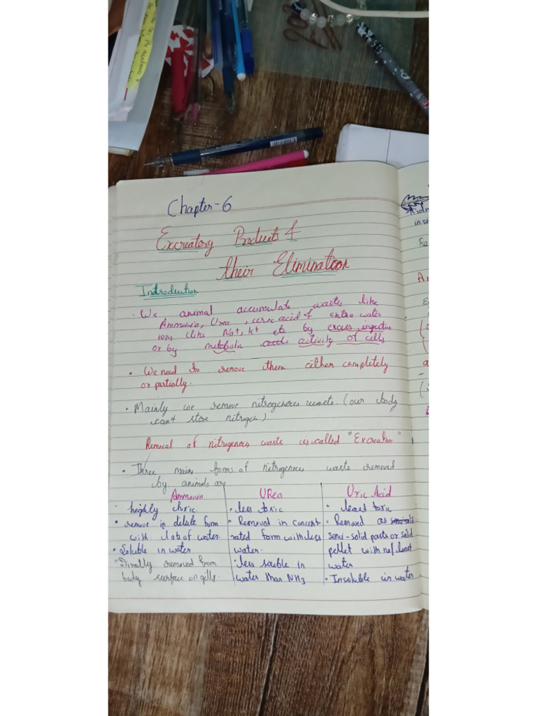 Notes Class11th Chapter 16 Biology | PDF