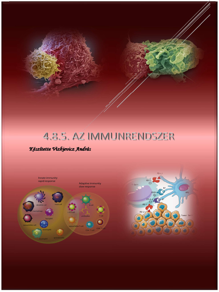 4.8.5. Az Immunrendszer | PDF